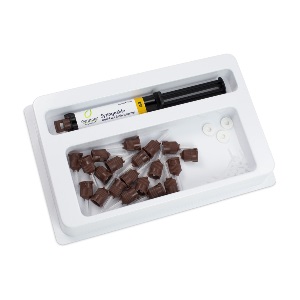 Geristore® 10g Syringe Kit A2